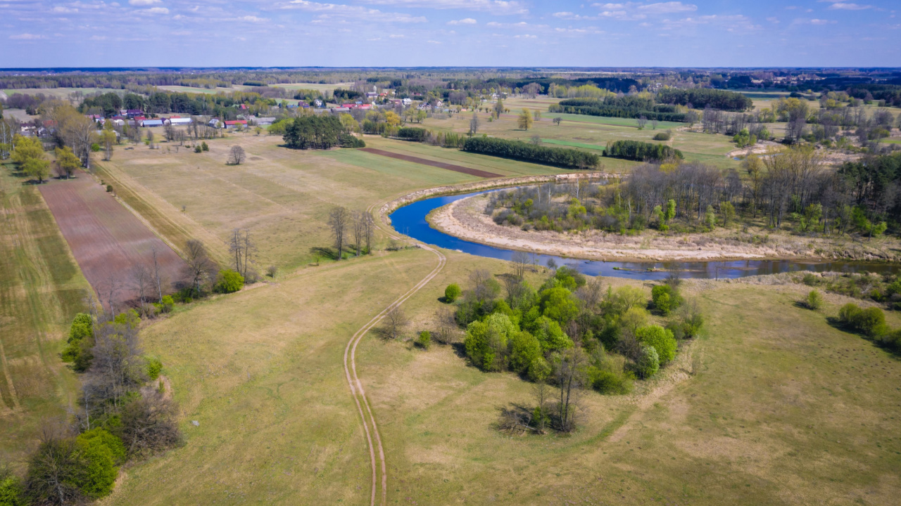 NADO and NADO Research Foundation Release 2020 Annual Report - NADO