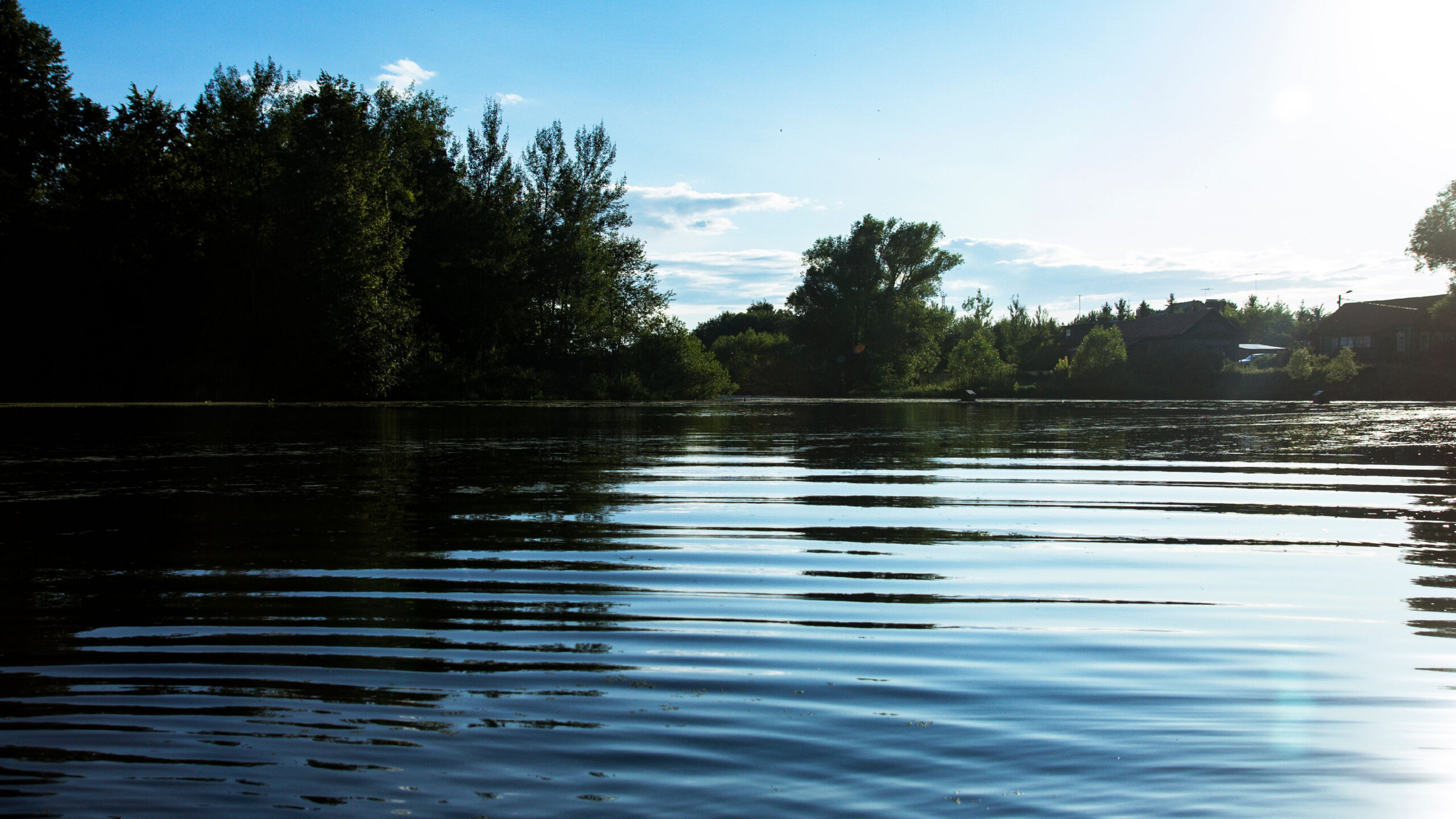 The Freshwater Coast Rural Entrepreneurship Alliance
