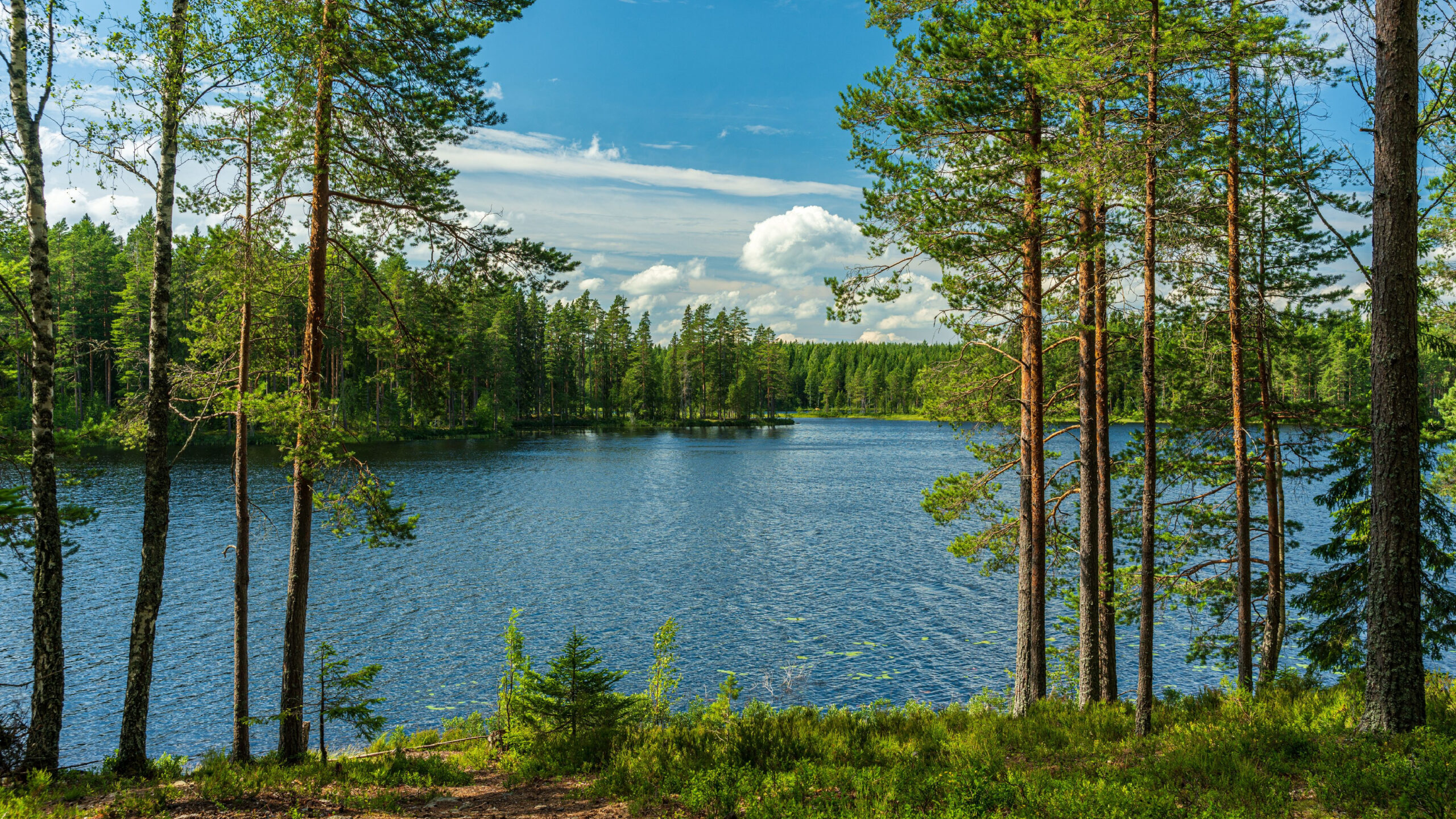 Supporting Resilient Water Systems - NADO