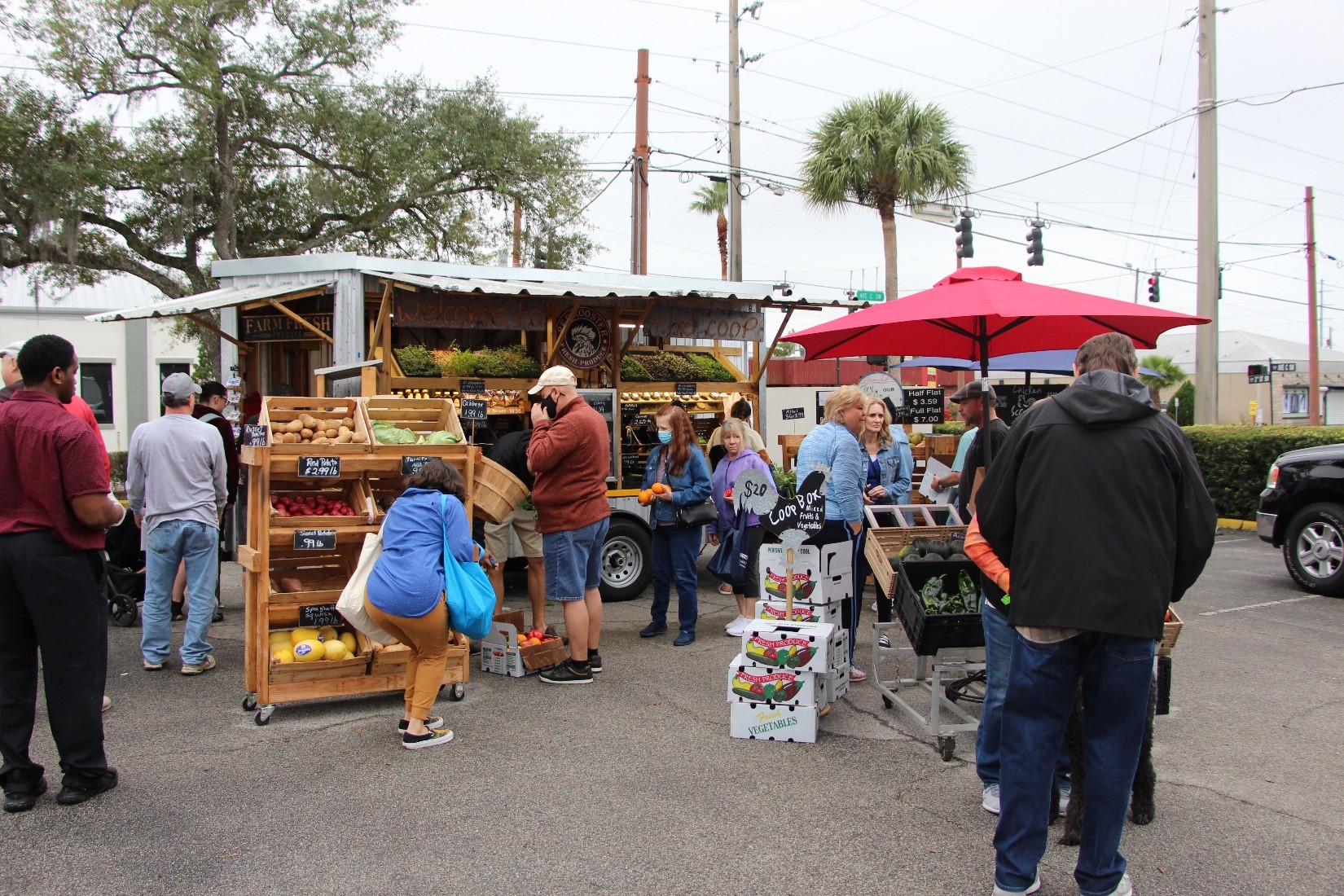 2022 NADO Photo Contest - NADO