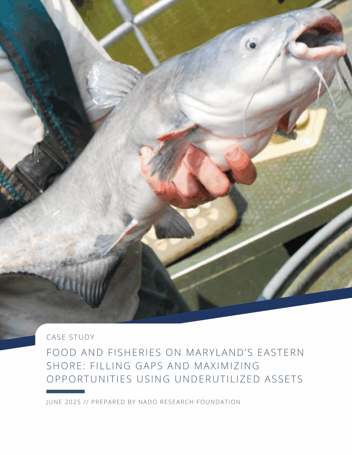 Food and Fisheries on Maryland’s Eastern Shore: Filling Gaps and ...