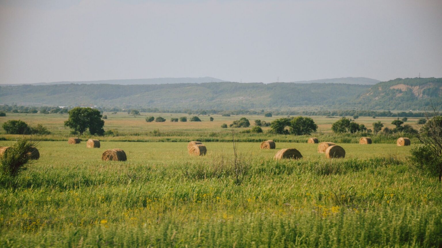 House Agriculture Committee Introduces 2026 Farm Bill: Farm, Food, and ...